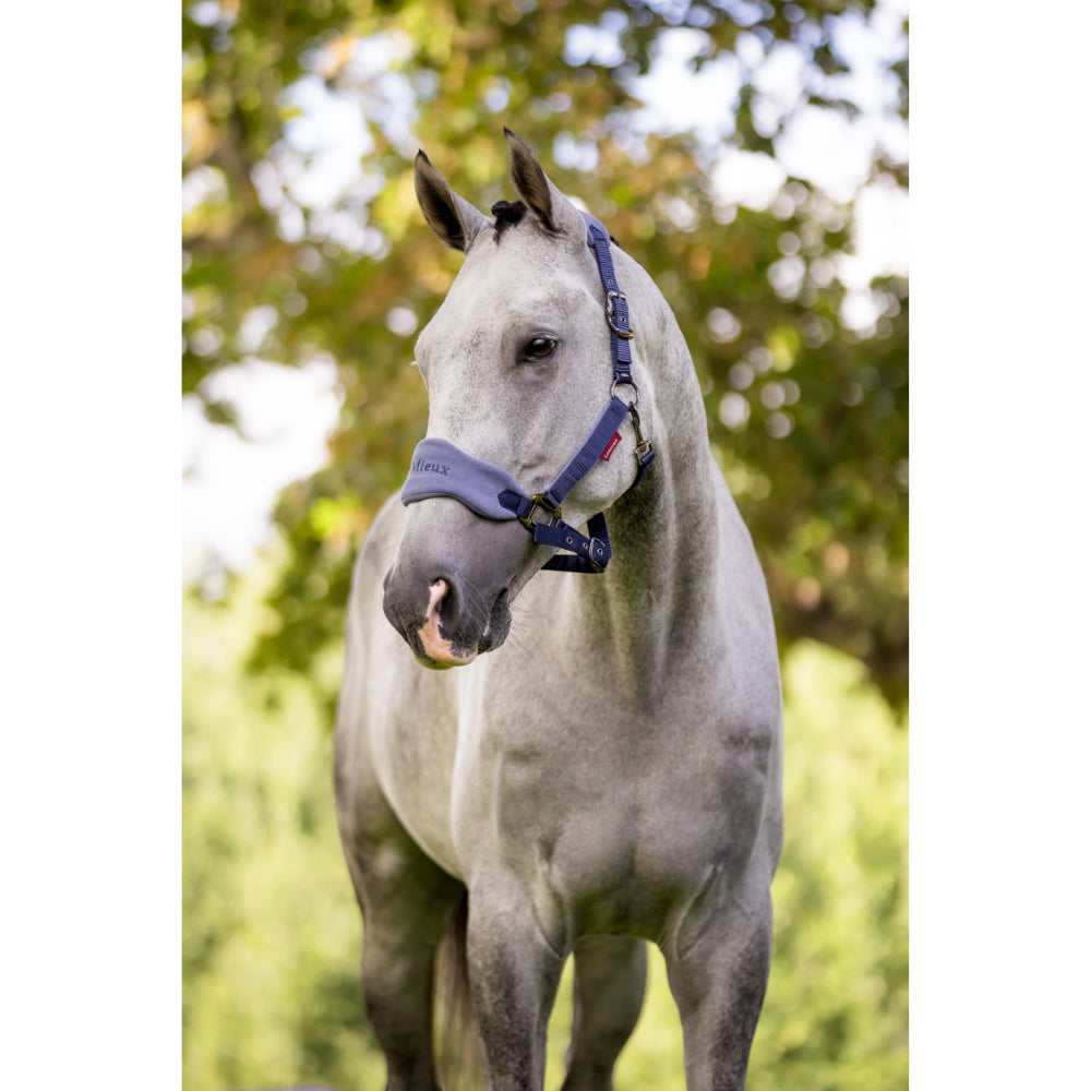 LeMieux Vogue Headcollar Indigo – First Choice Horse Supplies